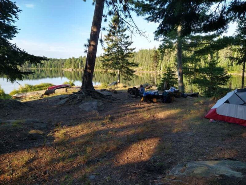 Private 4 Day Algonquin Park Backcountry Canoe Trip - Discovering Ontario’s Wilderness: An In-Depth Look