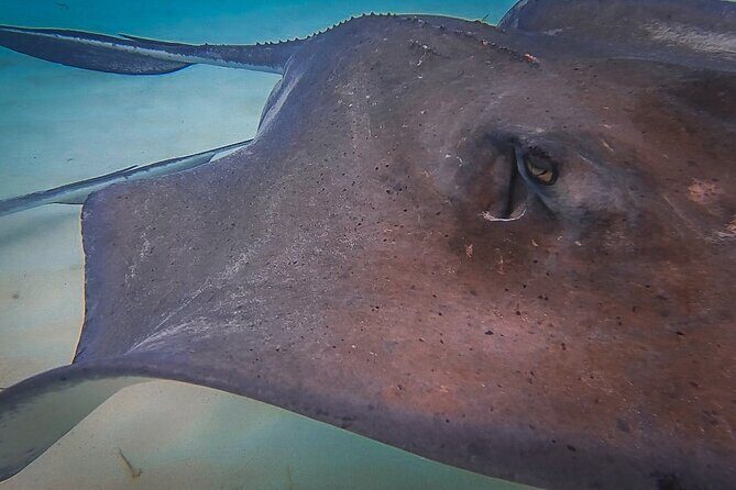 Private 4 hour Catamaran Tour - FAQ