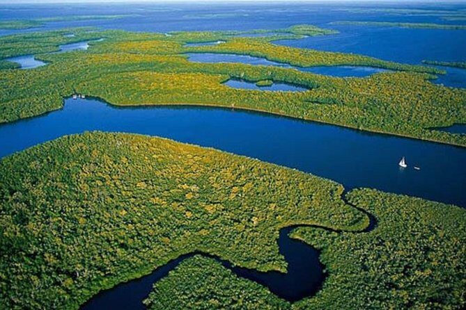 Private 4 Hour Everglades Tour Experience in the Wilderness - Discover the Unique Charm of a Private 4-Hour Everglades Tour Experience in the Wilderness