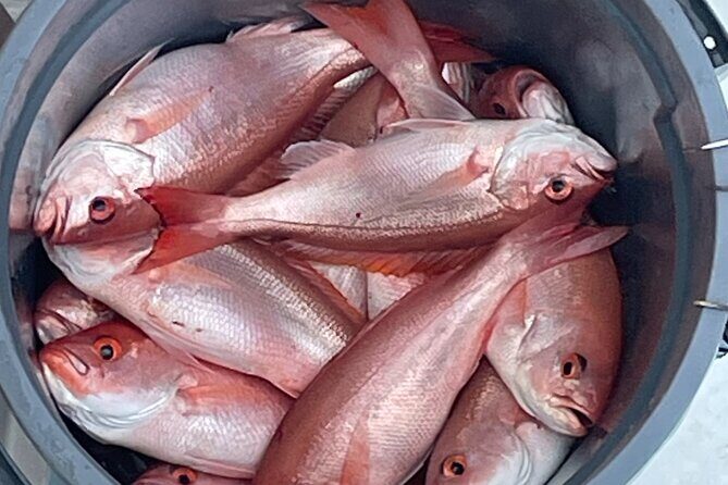 Private 4-Hour Fishing Charter on the Special K - Why It’s a Good Value