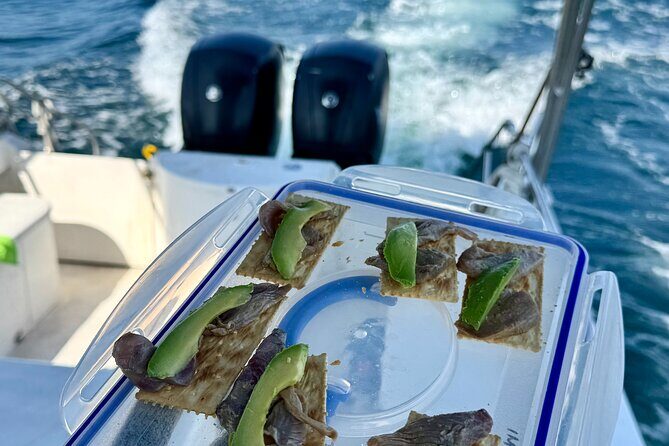 Private 4 Hour Fishing Trip in Puerto Vallarta - Final Thoughts: Why This Tour Could Be Your Best Bet