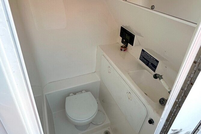 Private 4-Hour Rose Island charter Snorkeling Turtles & Beaching - Key Points