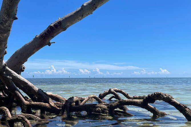 Private 4-Hour Snorkel Charter. Snorkel Gear Included! - The Sum Up: Is It Worth It?