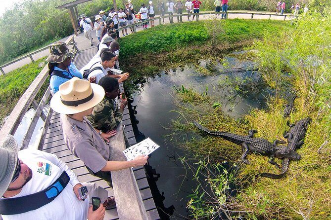 Private 4-hour Tour of Everglades from Miami Dade - Why The Experience Matters