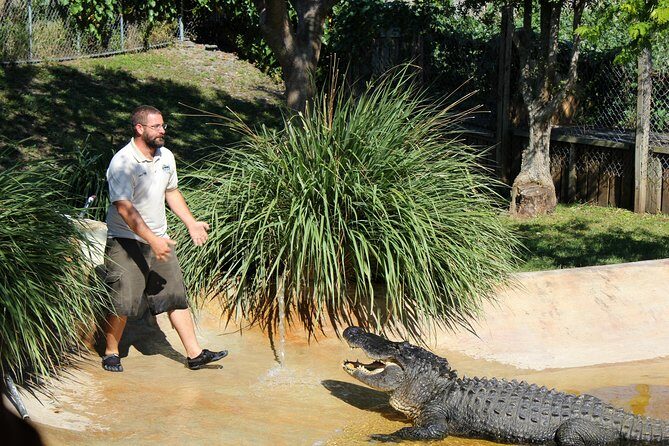 Private 4-hour Tour of Everglades from Miami Dade - FAQs