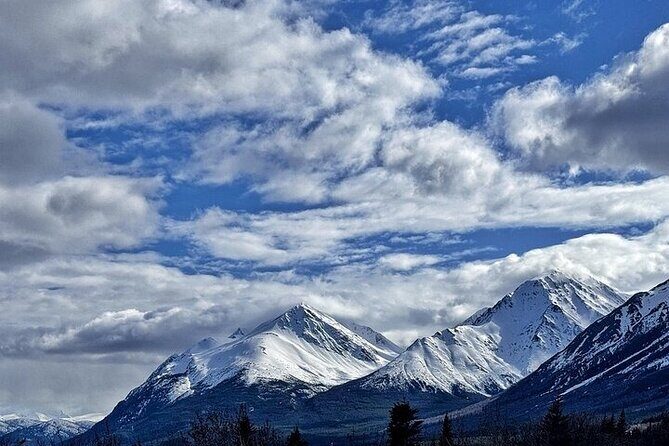 Private 4 Hour tour to White Pass and the Yukon Suspension Bridge - Key Points