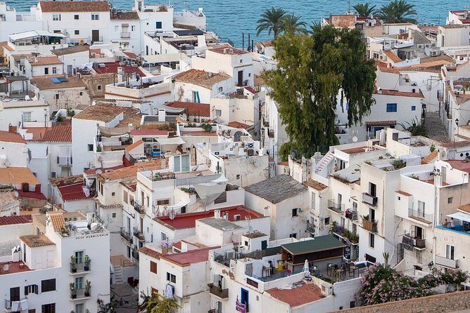 Private 4-hour walking tour of Ibiza with official tour guide - The Experience: What Youll Gain and What to Watch Out For