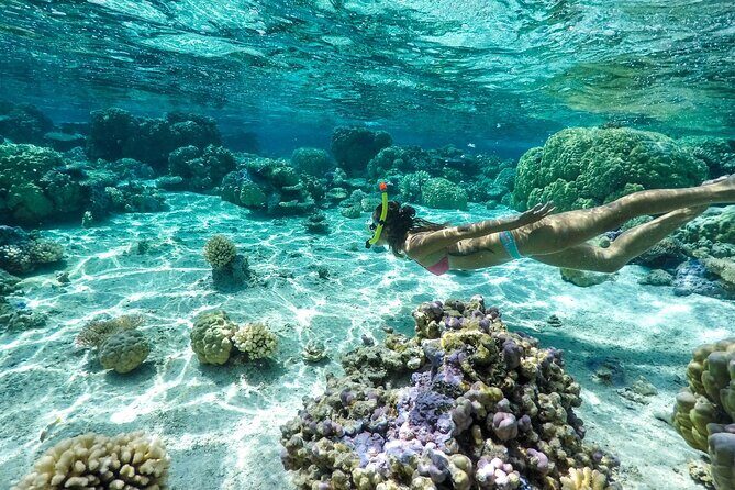 Private 4 Hours Reef Discovery Luxury Private Treasure Hunt in Bora Bora - FAQ