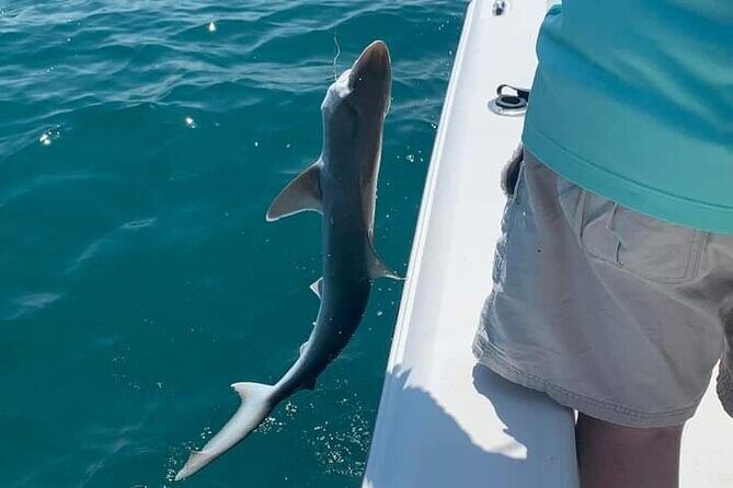 Private 4 hr Fishing Tour with Master Captain Bill Phillips - First Impressions: Who Is This Tour For?