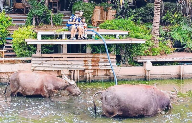 Private 4 IG Café Tour in Nakhon Pathom from Bangkok - Key Points