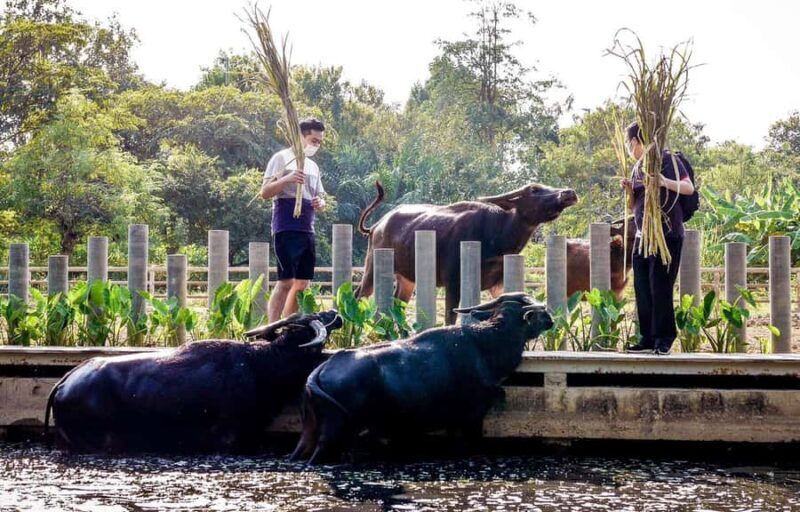 Private 4 IG Café Tour in Nakhon Pathom from Bangkok - Authenticity and What Travelers Say