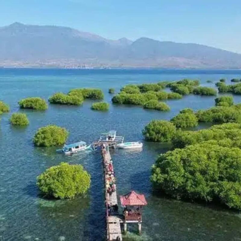 Private 4-Island Tour: Gili Kondo, Petagan, Bidara by Boat - An In-Depth Look at the Tour