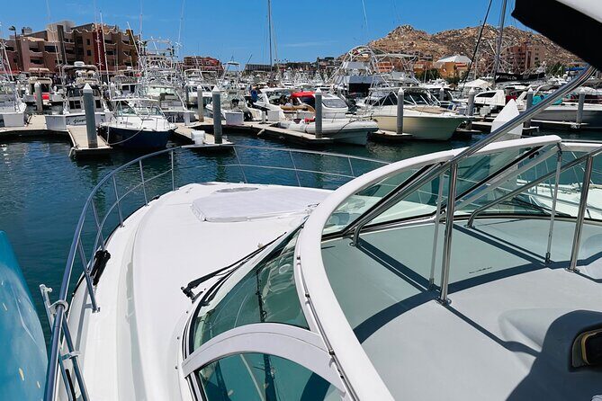 Private 42-foot luxury yacht tour in Los Cabos - Pricing and Value