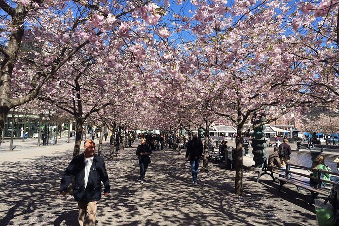 Private 4h VIP city tour by limousine car and guide in Stockholm - The Value: Is It Worth It?