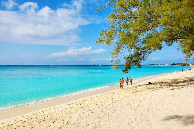 PRIVATE 4Stop Tour: Stingray, Snorkeling, Starfish & 7 Mile Beach - A Detailed Look at the Tour Experience