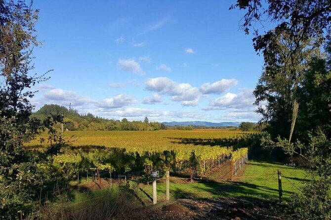 Private 5 day California Vineyards, Waves and Wine Tour - Starting in San Francisco: Iconic Views and Coastal Drive