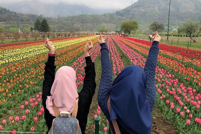 Private 5-Day Kashmir Tour Package from Srinagar - Who Is This Tour Best For?