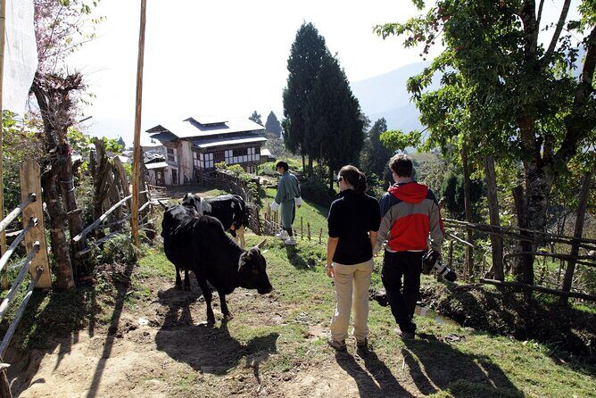 Private 5-Day Tour by Trans-Bhutan Trail in Paro - Key Points