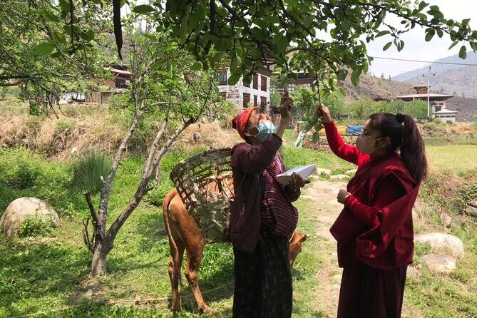 Private 5-Day Tour by Trans-Bhutan Trail in Paro - FAQs