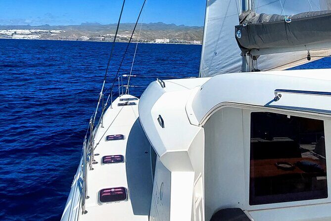 Private 5 hour catamaran cruise in south of Gran Canaria - Is This Cruise Right for You?
