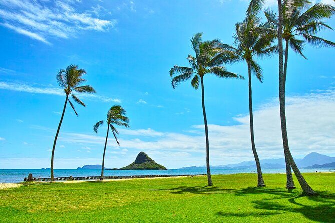Private 5-Hour Driving Tour of Oahus Highlights - Exploring Oahu in Five Hours: A Balanced Take on a Highlight Tour