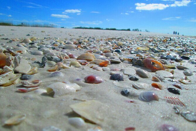 Private 5-Hour Egmont Key Boat Tour in St. Petersburg, FL - The Sum Up