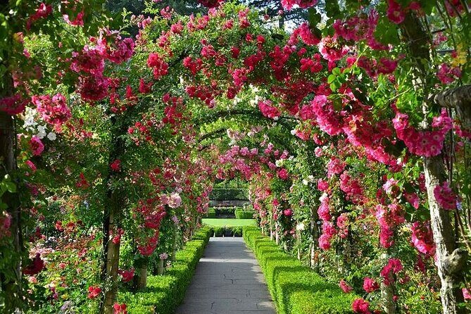 Private 5 Hour Tour of Butchart and Butterfly Gardens - Who Will Love This Tour?