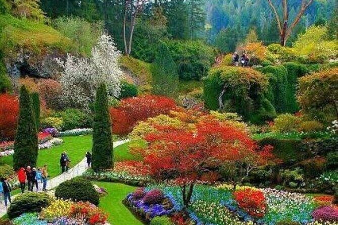 Private 5 Hour Tour of Butchart and Butterfly Gardens - Final Verdict