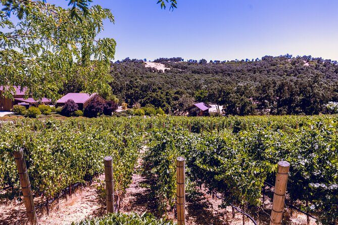 Private 5-Hour Transportation from Paso Robles or Atascadero - Key Points