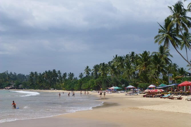 Private 6-Day-Highlights-Tour Around Sri Lanka - An In-Depth Look at the 6-Day Itinerary