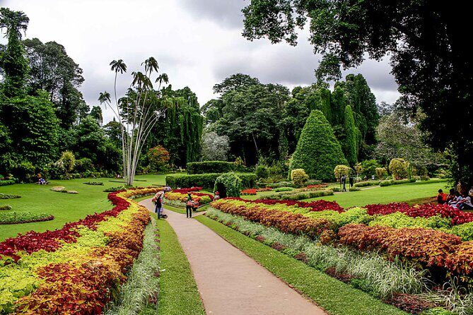 Private 6-Day Sri Lanka Cultural, Nature & Adventure Tour - Wrapping it Up