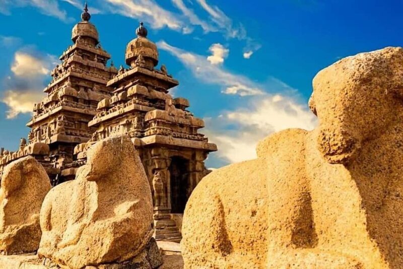 PRIVATE 6 DAYS BEST OF TAMIL NADU TOUR WITH CAR AND DRIVER - Final Thoughts