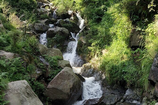 Private 6 hrs Mcleodganj & Dharamshala City Tour - Key Points