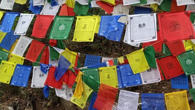 Private 6 hrs Mcleodganj & Dharamshala City Tour - Final Thoughts: Is This Tour Right for You?