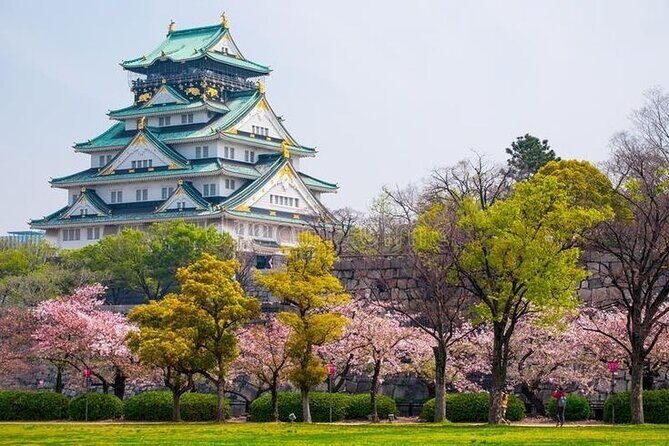 PRIVATE 6hr, Food tour from Osaka Castle, Kuromon, Dotonbori. - Exploring the Perfect 6-Hour Osaka Private Tour