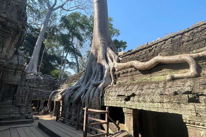 Private 7-Day Journey Through Out Cambodia - What the Tour Offers: A Practical Breakdown