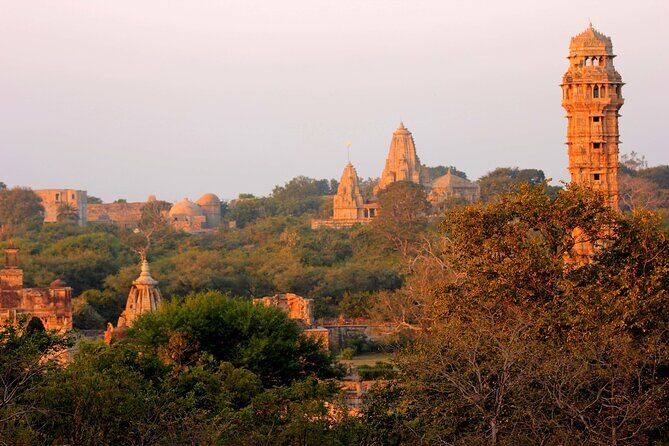 Private 7 Day Tour of Udaipur Chittorgarh Pushkar and Jaipur - An In-Depth Look at the Itinerary