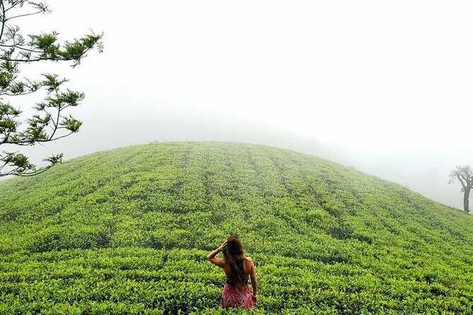 Private 7 Days Sri Lanka Tour with Safari and Cultural sites - FAQs