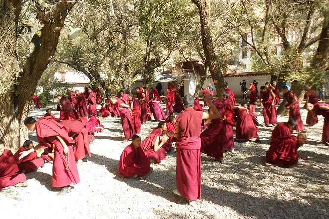 Private 8-Day Tibet Mt Everest Base Camp Tour - Authentic Experiences and Highlights