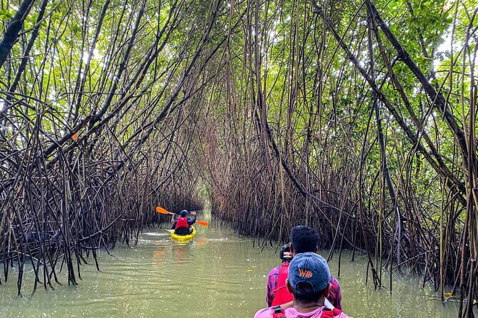 Private 8 Days Tour from Trivandrum with Cochin,Munnar,Thekkady & Houseboat etc - Who is this tour best suited for?