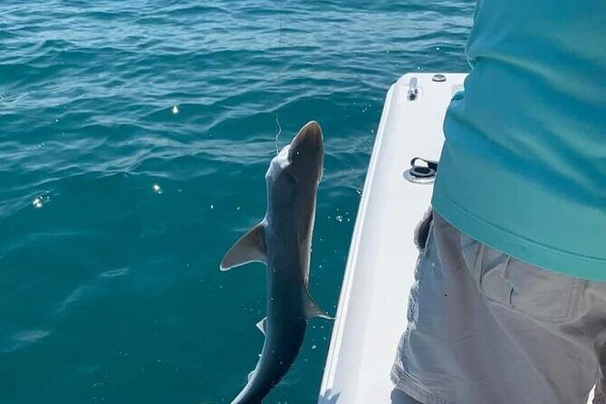 Private 8 hour Fishing Activity with Master Captain Bill - Introduction: A Carefully Crafted Gulf Fishing Experience