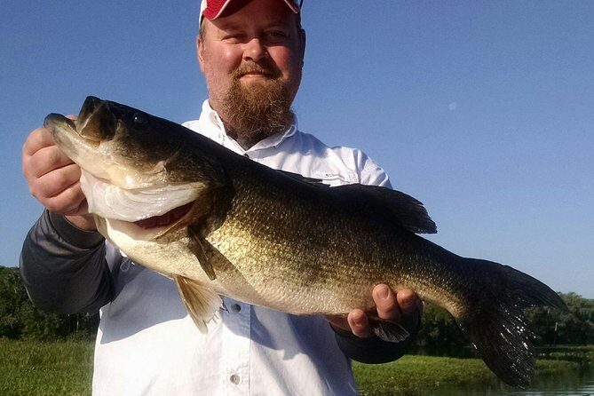 Private 8-hour Lake Toho Fishing Charter Near Kissimmee - Why This Tour Works Well