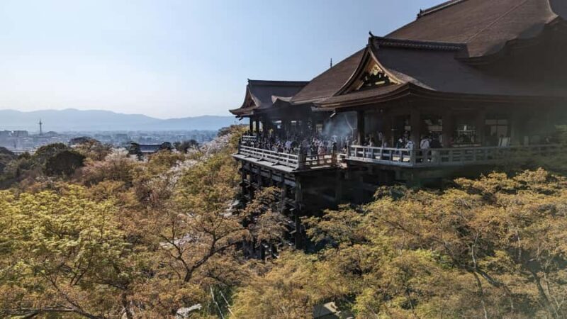 Private 8 hour Tour around Kyoto with Spanish guide - Key Points