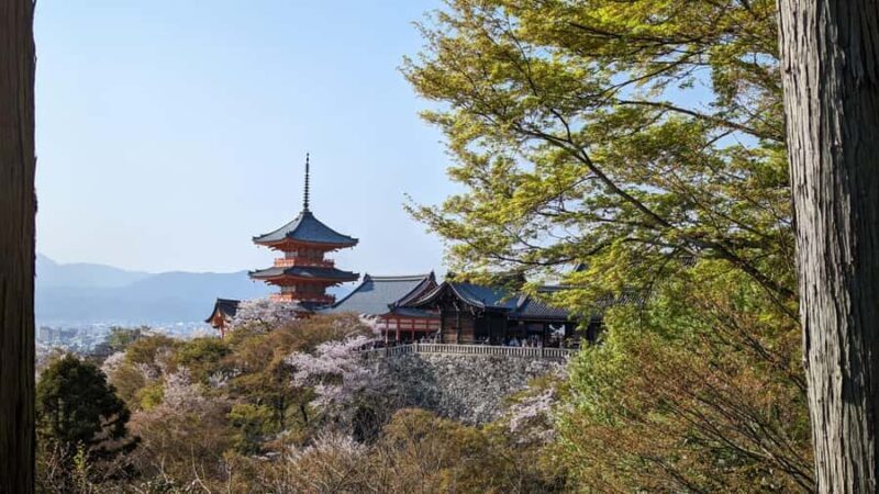 Private 8 hour Tour around Kyoto with Spanish guide - In-Depth Tour Breakdown