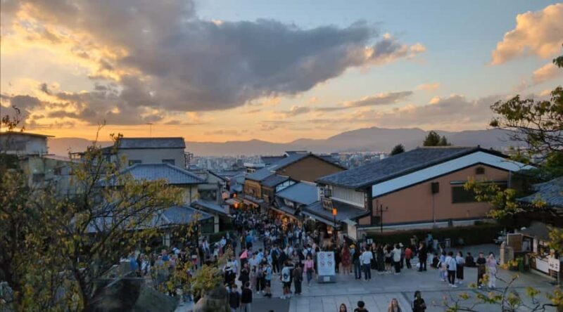 Private 8 hour Tour around Kyoto with Spanish guide - Who Should Consider This Tour?