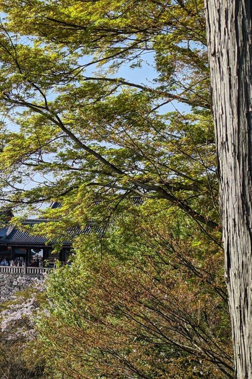 Private 8 hour Tour around Kyoto with Spanish guide - Frequently Asked Questions (FAQs)