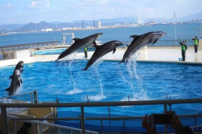 Private 9 persons Chartered Bus in Fukuoka - An In-Depth Look at the Fukuoka Private Bus Tour