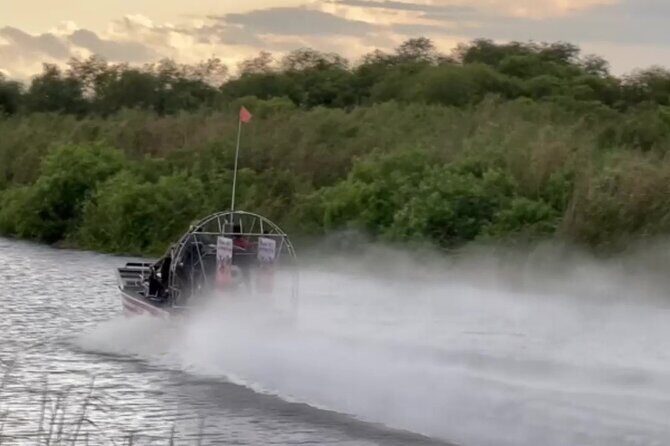 Private 90 Minutes Everglades Airboat Adventure - In-Depth Look at the Itinerary