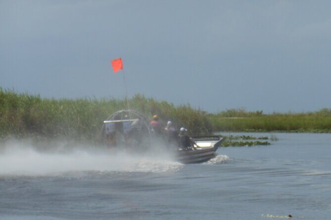Private 90 Minutes Everglades Airboat Adventure - The Sum Up