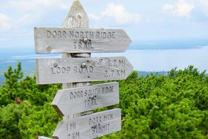 Private Acadia & Mount Desert Island Tour (full day, six hours) - Why This Tour Stands Out